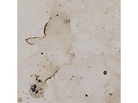 Fabric- TUTTLE STONE | Universal Furniture